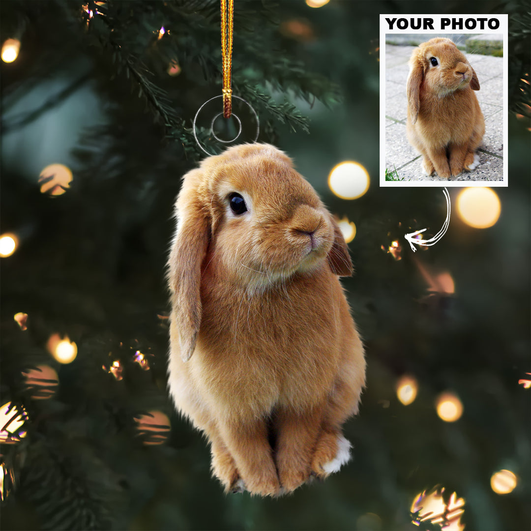 rabbit gift ideas